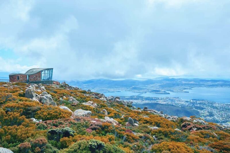 Shore Excursion: Hobart Wanderer - A Deep Dive into the Hobart Wanderer Experience