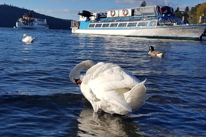 Shore Excursion: Lake District Adventure Sightseeing Day Trip from Liverpool - A Closer Look at the Itinerary