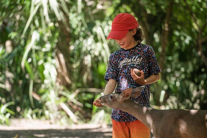 Shore Excursion Mazunte and Ventanilla Crocs & Turtles - The Sum Up