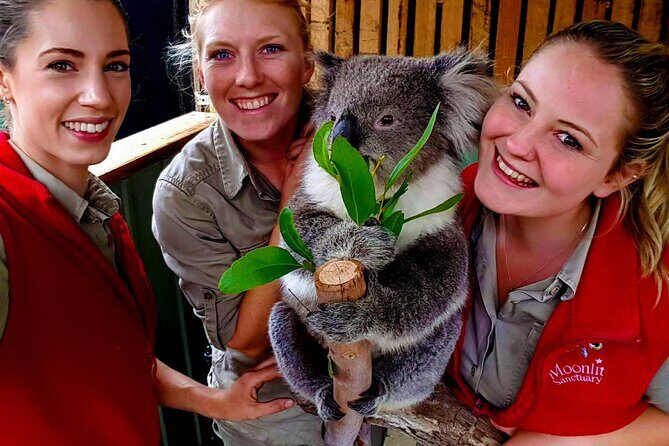 Shore Excursion Melbourne, Sights, Kangaroos, Koalas Lunch & Wine - FAQ