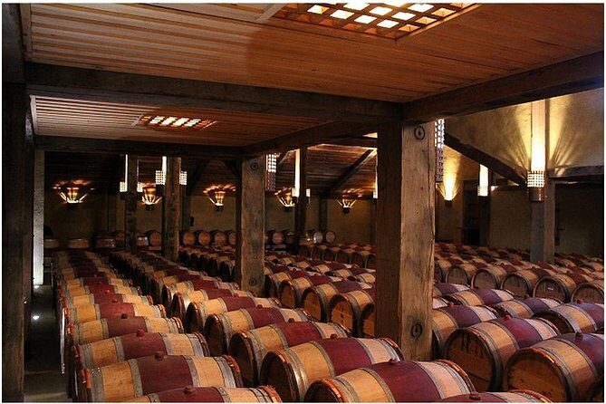 Shore Excursion: Napier/ Hawke's Bay & Premium Wineries tour - What Makes This Tour Stand Out?