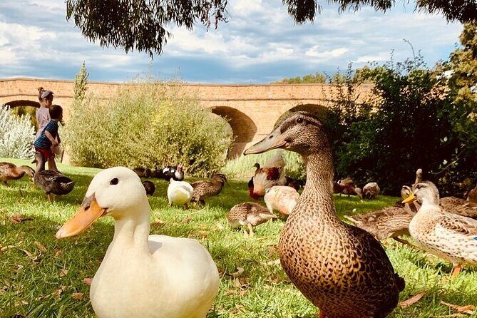 Shore Excursion: Nipaluna (Hobart) Highlights - The Value of This Experience