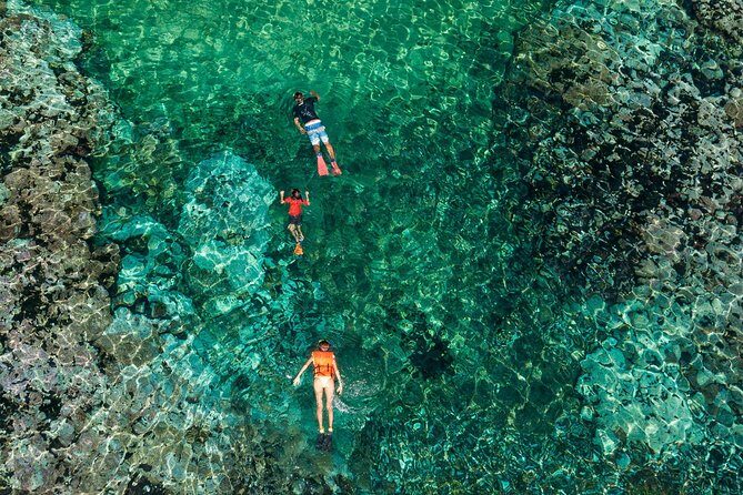 Shore Excursion Premium Family Snorkeling Experience - An In-Depth Look at the Snorkeling Tour