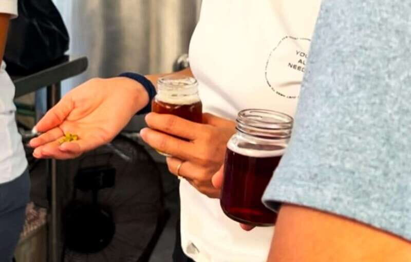 Shore Excursion: Savor Cozumel with Tacos, Beer & Mezcal - A Taste of Cozumel’s Culinary Heart