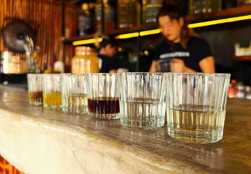 Shore Excursion: Savor Cozumel with Tacos, Beer & Mezcal - Who Is This Tour Best For?