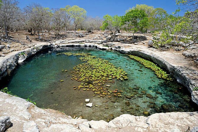 Shore Excursion: The Wonders of Progesso with Beach, Food & Drink - Key Points