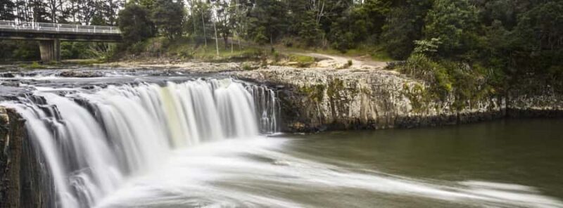 Shore Excursion to Historic Kerikeri including Lunch - Key Points