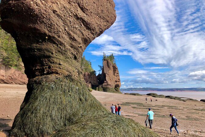 Shore Excursion to Hopewell Rocks and Fundy National Park - Key Points