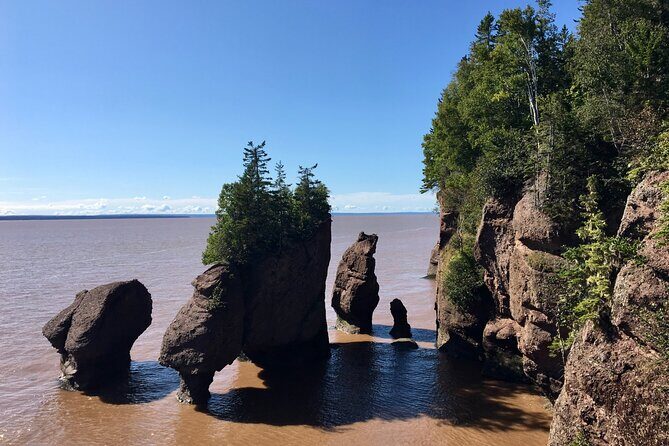 Shore Excursion to Hopewell Rocks and Fundy National Park - Unesco Fundy Biosphere Reserve: Nature’s Artistic Playground
