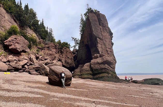 Shore Excursion to Hopewell Rocks and Fundy National Park - Authentic Guest Insights: What Reviewers Say