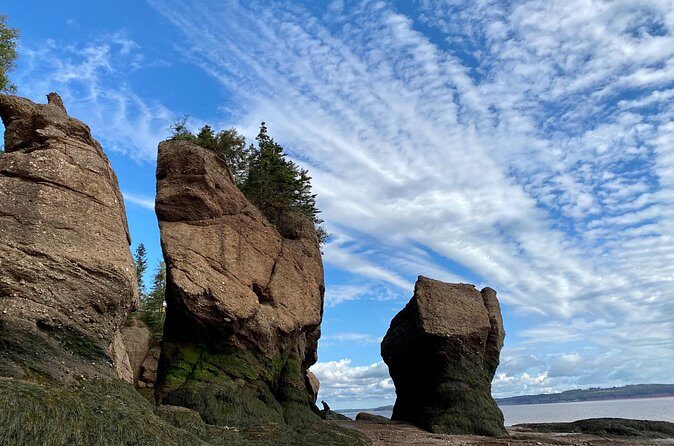 Shore Excursion to Hopewell Rocks and Fundy National Park - Pricing and Value Analysis