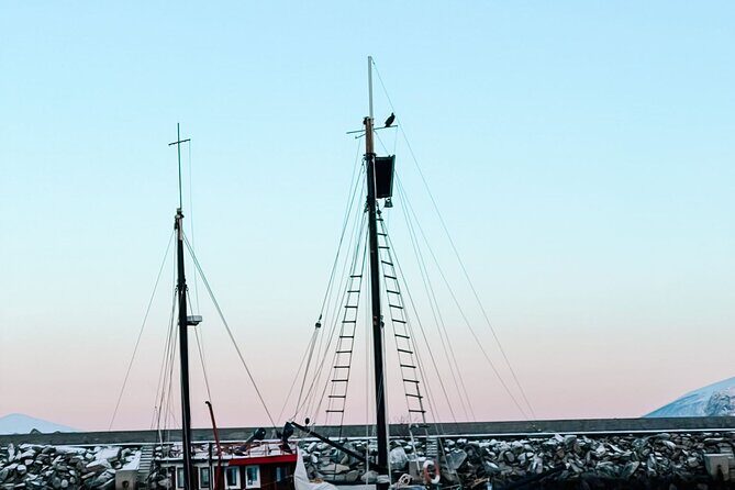 Shore Excursions Ålesund: Highlights Ålesund & Islands - Price and Value for Money