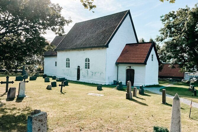 Shore Excursions Ålesund: Highlights Ålesund & Islands - Who Is This Tour Best For?