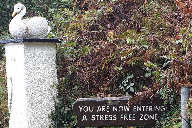 SHORE EXCURSIONS BELFAST / up to 5 tours in 1 day from CRUISE SHIP @ MICKS TOURS - Real User Experiences