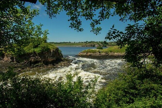 Shore Excursion:Saint John History Walking Tour - Who Will Enjoy This Tour?