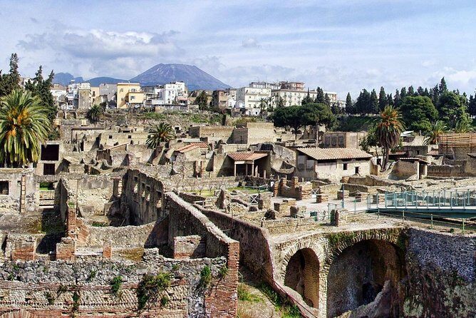 Shore tour of Pompeii, Vesuvius and Herculaneum. - What Reviewers Say