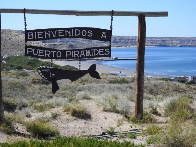 Shore Tours Peninsula Valdes Puerto Madryn Cruise Passengers - Key Points