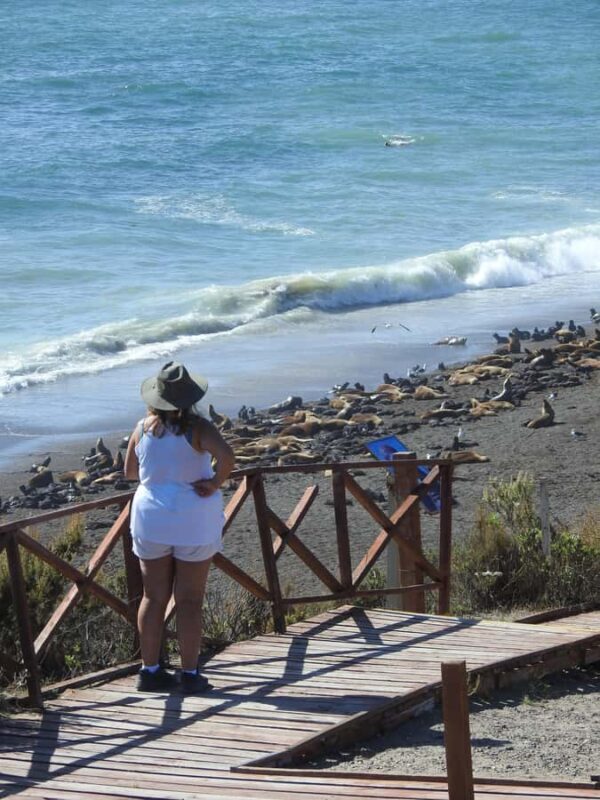 Shore Tours Peninsula Valdes Puerto Madryn Cruise Passengers - The Value of the Península Valdés Tour