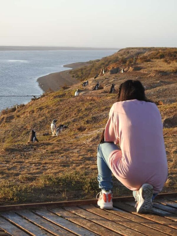Shore Tours Peninsula Valdes Puerto Madryn Cruise Passengers - Logistics & Practicalities