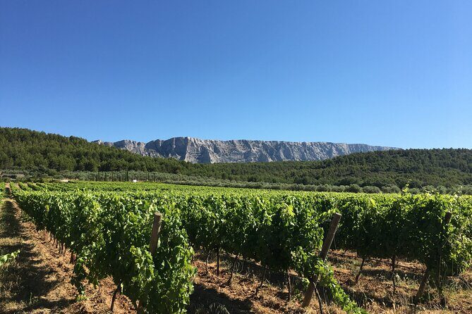 Short Day Tour around Aix en Provence and Wine Tasting - Exploring the Itinerary in Detail
