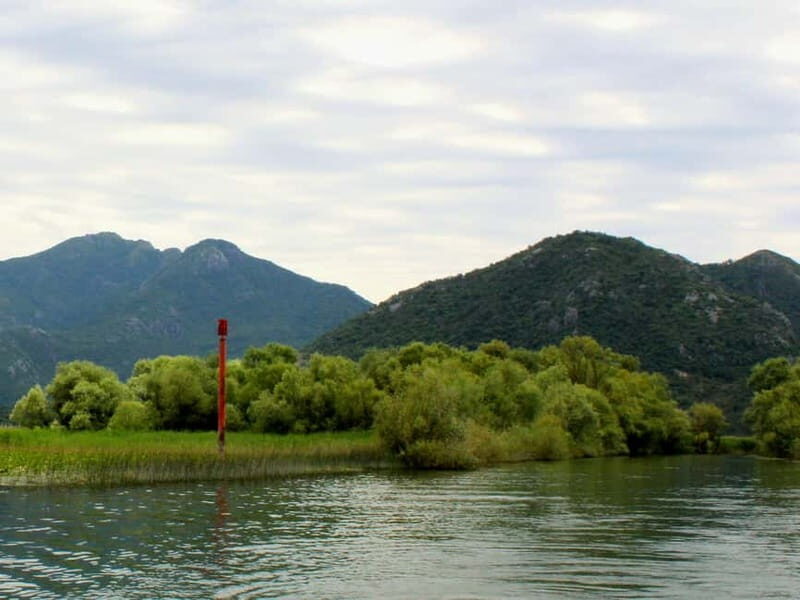 Short Skadar Lake Boat Tour to Moraa River with Drinks - An In-Depth Look at the Skadar Lake Short Boat Tour