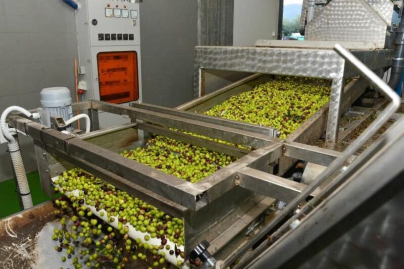 Short Tour of Olympia, an Olive Oil Press & St. Andrew Beach - A Visit to the Olive Oil Press: Authentic Greek Flavors