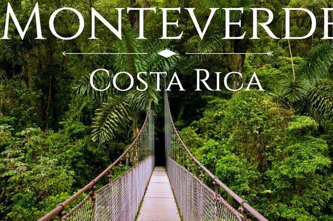 Shuttle From San Jose Airport To Monteverde - The Experience According to Reviews