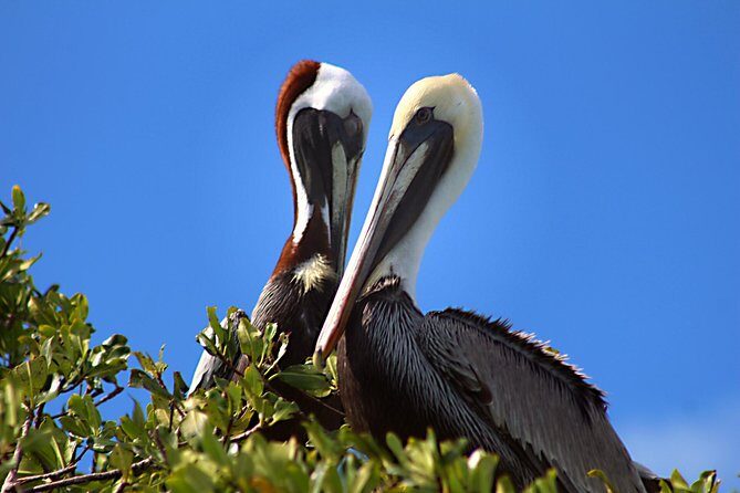 Sian Ka'an Adventure Full Day Trip to Punta Allen - Key Points