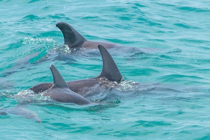 Sian Ka'an Adventure Full Day Trip to Punta Allen - The Authentic Experience You Can Expect