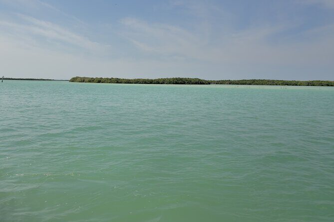 Sian Ka'an Biosphere Reserve Tour from Cancun - An In-Depth Look at the Sian Kaan Biosphere Tour