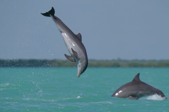 Sian Ka'an Classic - Practical Tips for Making the Most of Your Tour