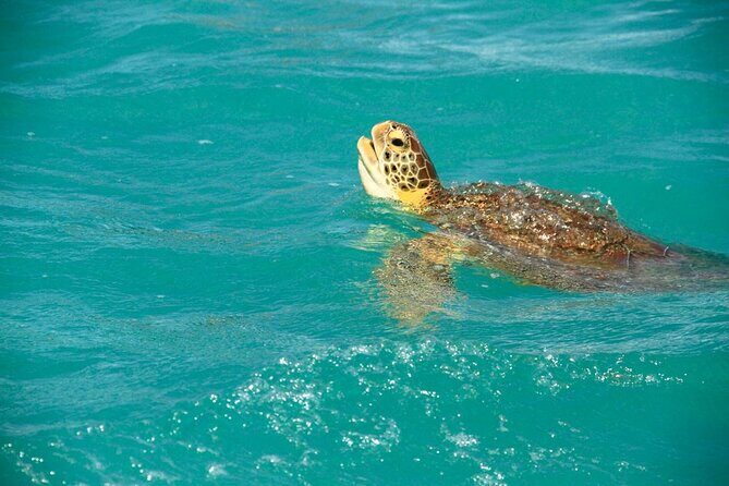 Sian Ka'an Classic - Final Thoughts: Is It Worth It?