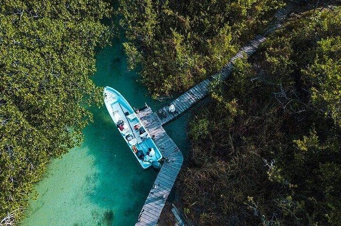 Sian Kaan Reserve and Muyil Mayan Ruins from Tulum Combo - The Muyil Mayan Ruins and Jungle Walk