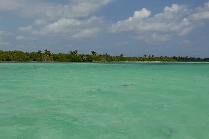 Sian Kaan Reserve Private Bike Tour - A Closer Look at the Sian Kaan Private Bike Tour