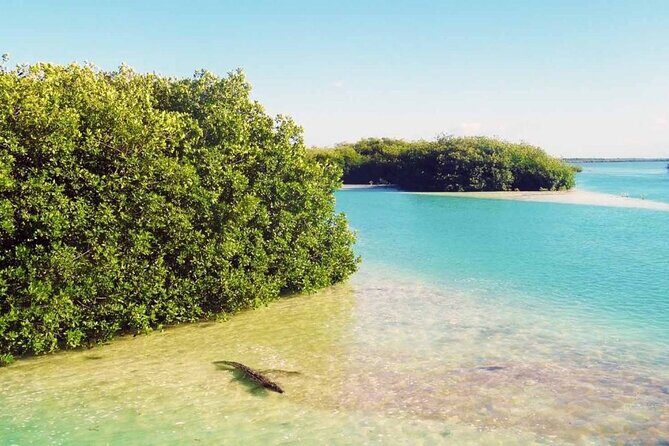 Sian Ka'an Reserve Tour - An In-Depth Look at the Sian Kaan Reserve Tour