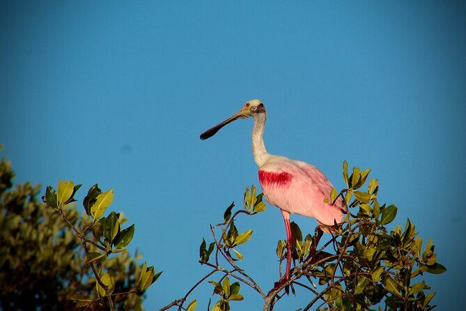 Sian Kaan Sunset Private boat. - FAQ