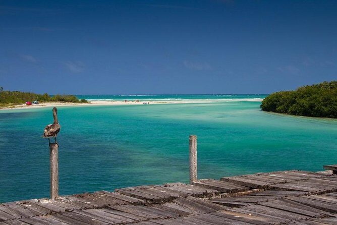 Sian Ka'an the green jewel, Biosphere Reserve Tour. Lunch & Snorkel included. - Who Should Book This Tour?