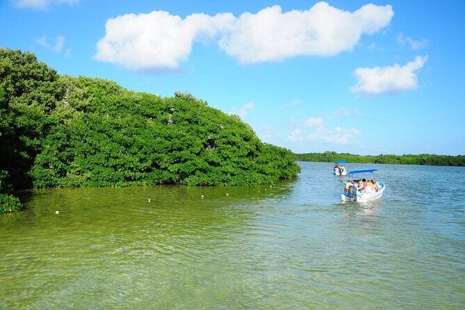 Sian Ka'an Trip from Playa del Carmen & Tulum - The Journey Back and Overall Logistics