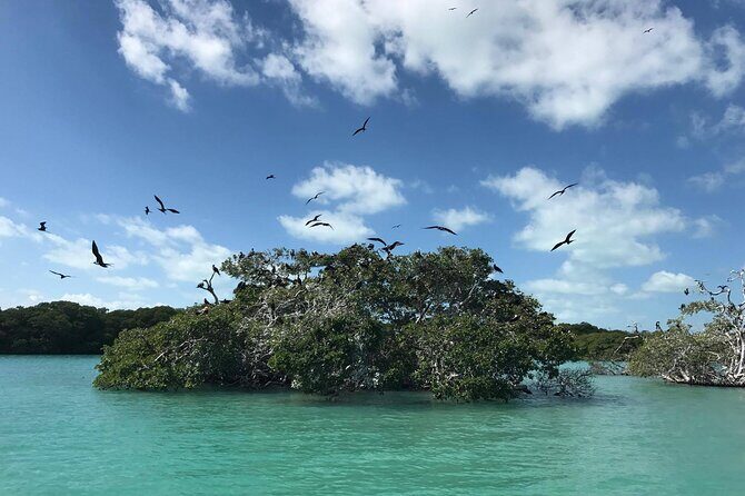 Sian Ka'an Trip from Playa del Carmen & Tulum - FAQ