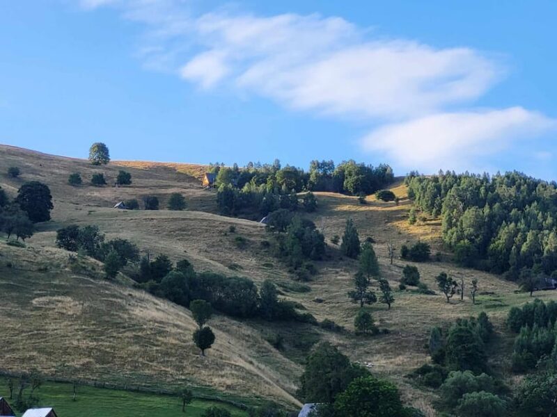 Sibiu: Cindrel Mountains Hike with Traditional Brunch - Key Points