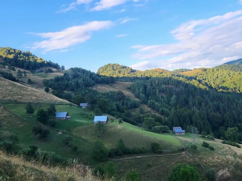 Sibiu: Cindrel Mountains Hike with Traditional Brunch - A Detailed Look at the Cindrel Mountains Hike and Brunch Experience