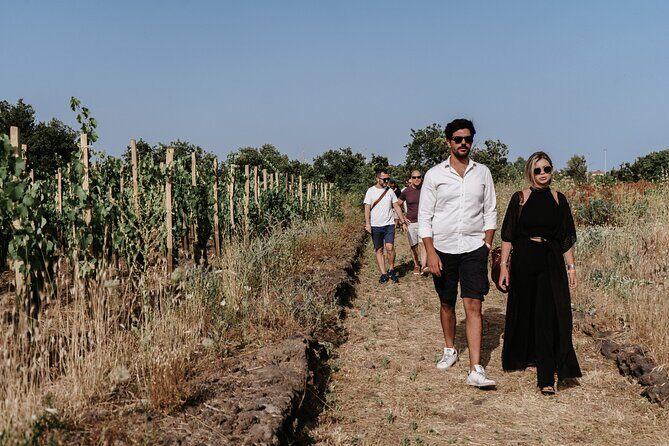 Sicilian Lunch with Wine Tasting - Authenticity and What You’ll Take Away