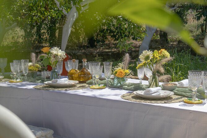 Sicilian Picnic in a Country House - Discovering the Charm of the Sicilian Countryside