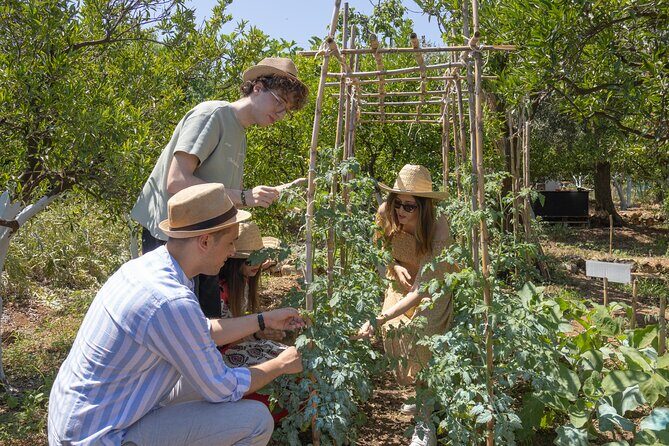 Sicilian Picnic in a Country House - Final Thoughts