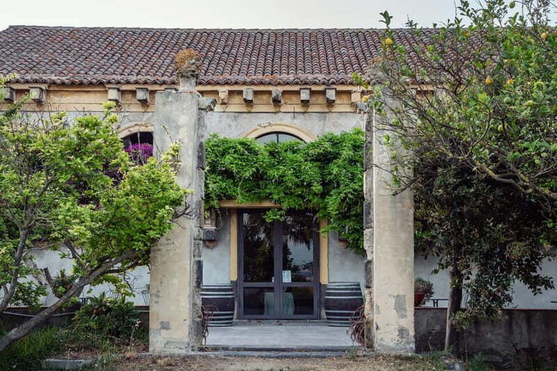 Sicilian Soul: Winery Tour, Wine & Food Tasting in Catania - A Taste of Sicily: Winery Tour, Wine & Food Tasting in Catania