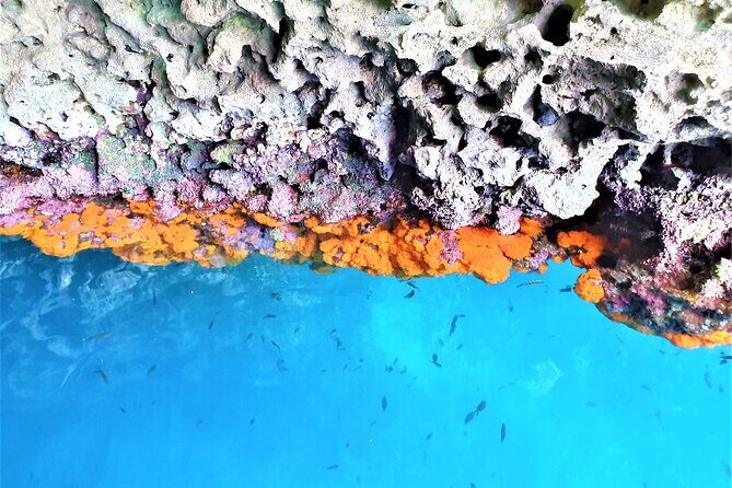 Sicilian wine tasting on the boat in Taormina - Spisone Bay — Dramatic Cliffs and Rocks