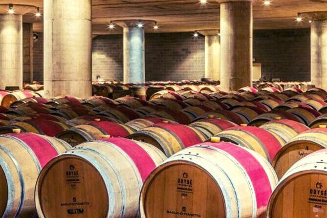 Sicilian Winery Tour with Wine Tasting from Palermo - An In-Depth Look at the Sicilian Winery Experience