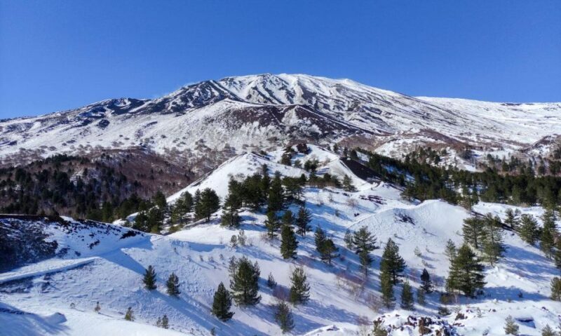 Sicily: Etna and Alcantara Gorges Full-Day Tour with Lunch - The Group and Transportation Experience