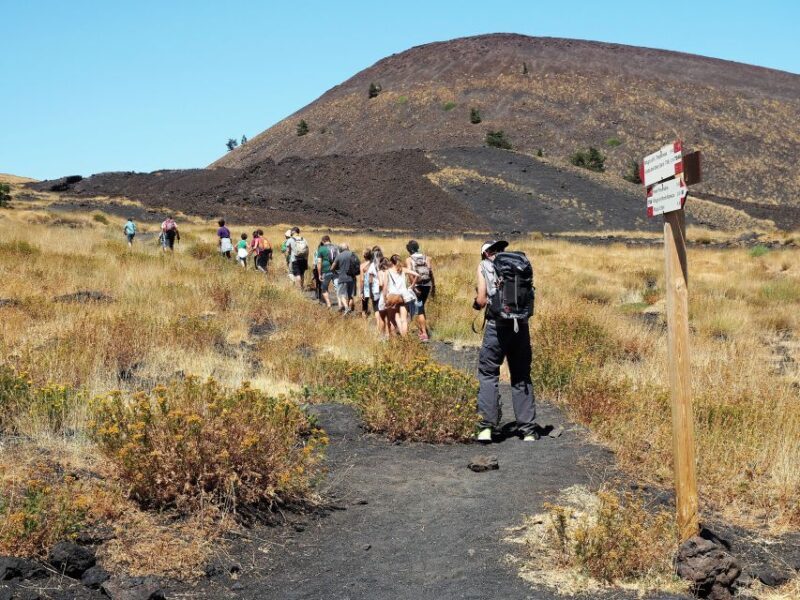 Sicily: Mount Etna's North Slope Craters Guided Hike Tour - Flexibility and Weather Considerations