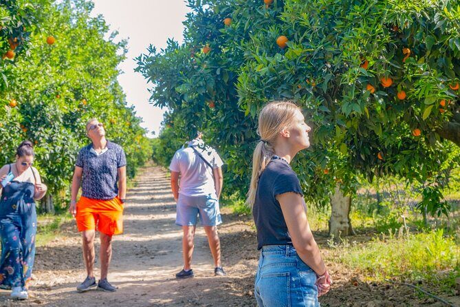 "Side: 5-in-1 Green Canyon, Waterfalls & Ancient Sites Tour" - An In-Depth Look at the Tour